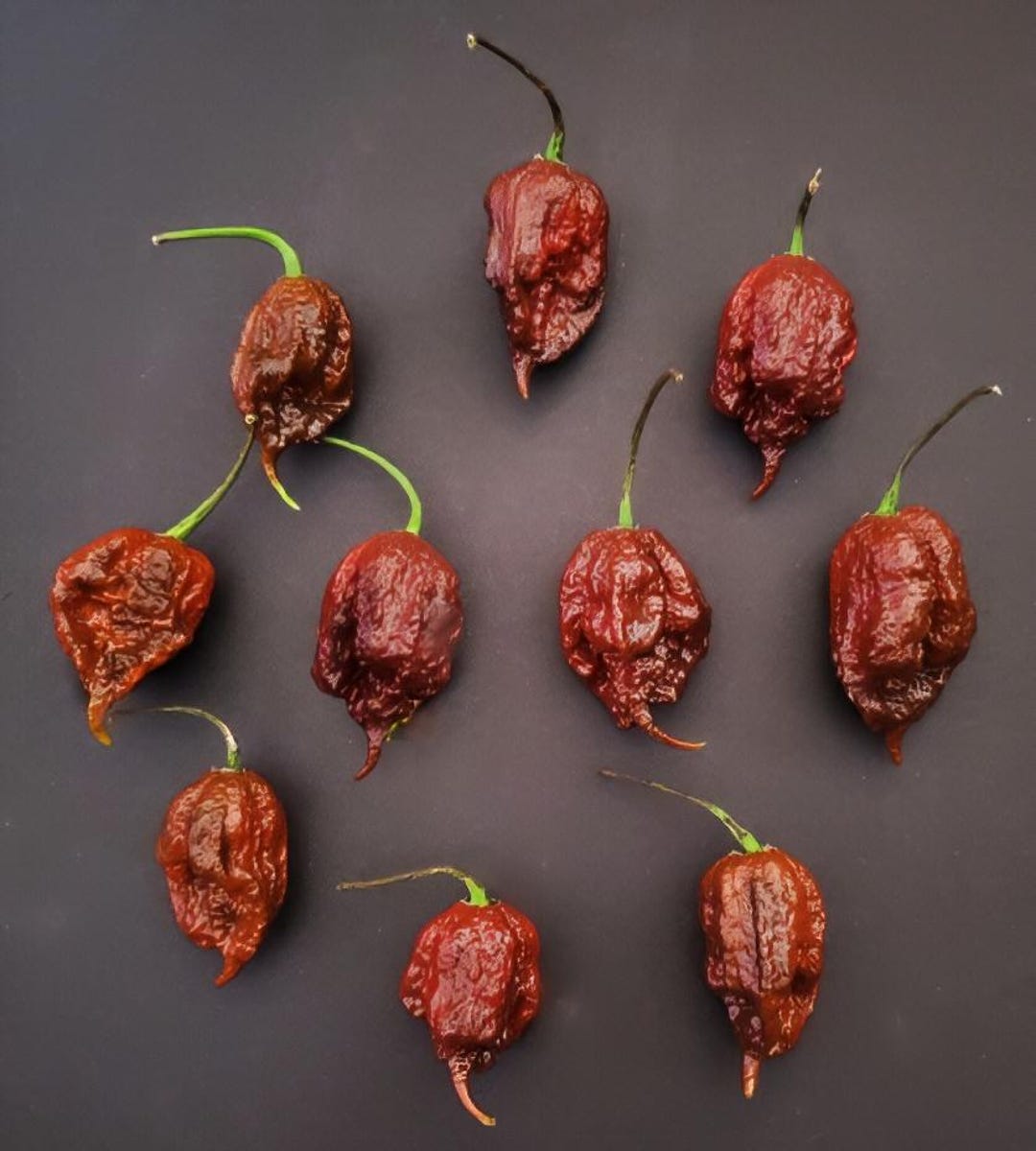 Chocolate Carolina Reaper Seeds! - Etsy