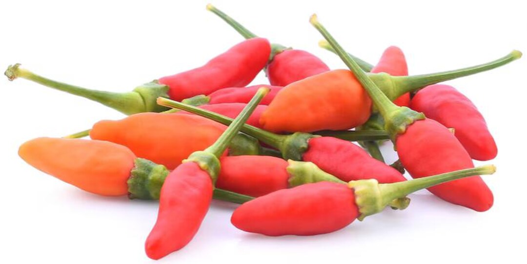 Peri Peri Pepper Seeds! - Etsy
