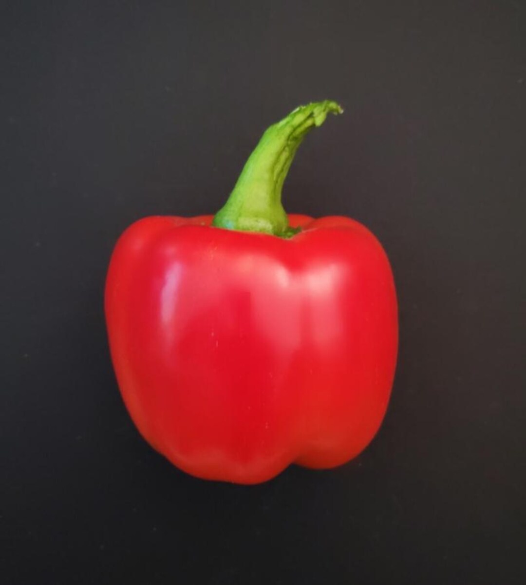 Quadrato D'asti Rosso Pepper Seeds! - Etsy