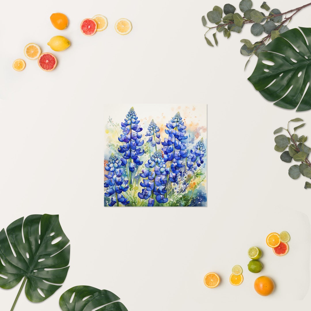 Texas Blue Bonnet Poster - Etsy