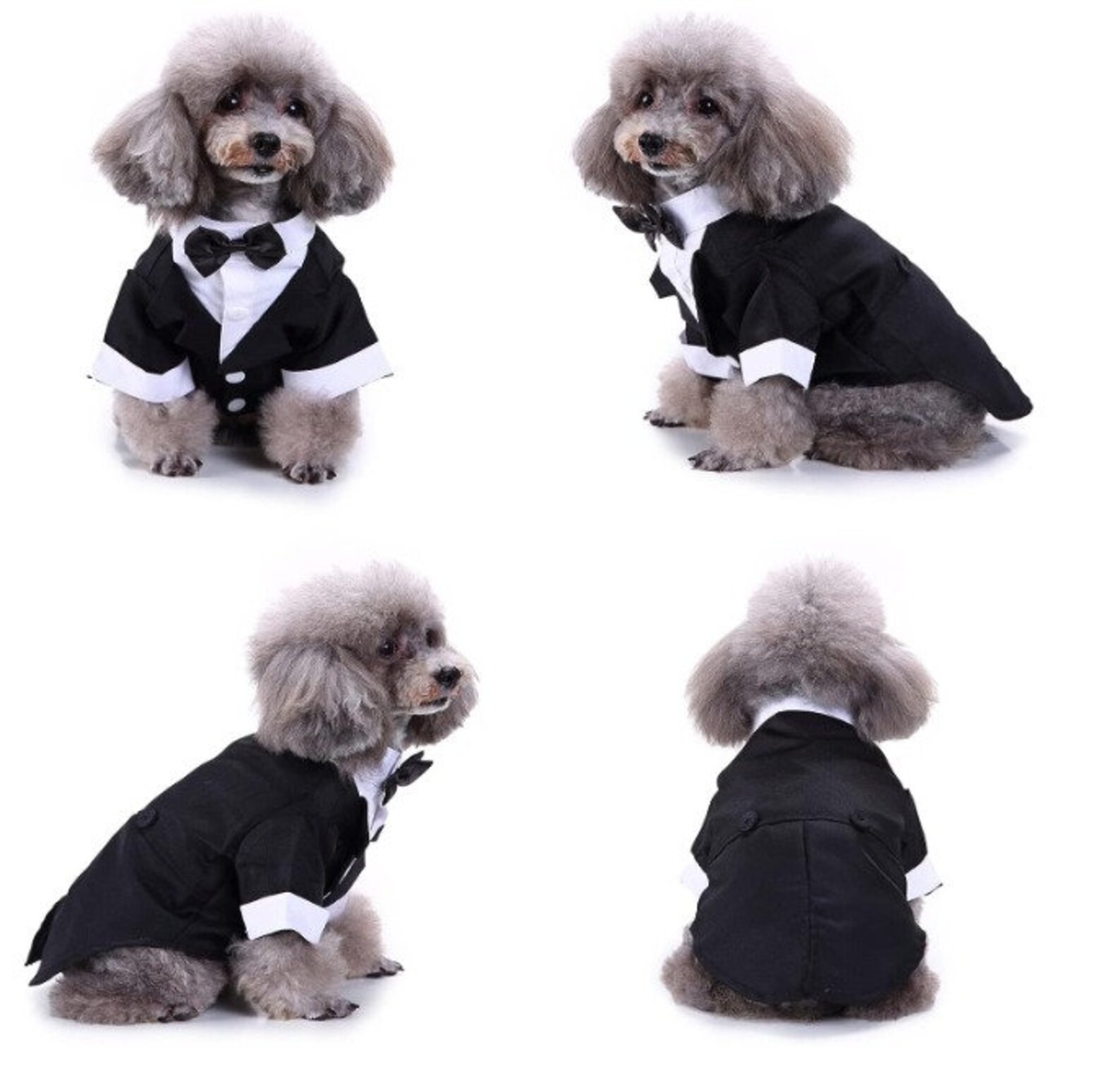 2024 Dog Tuxedo Pattern Size XS-XXL, Dog Clothes, Dog Clothing Pattern ...