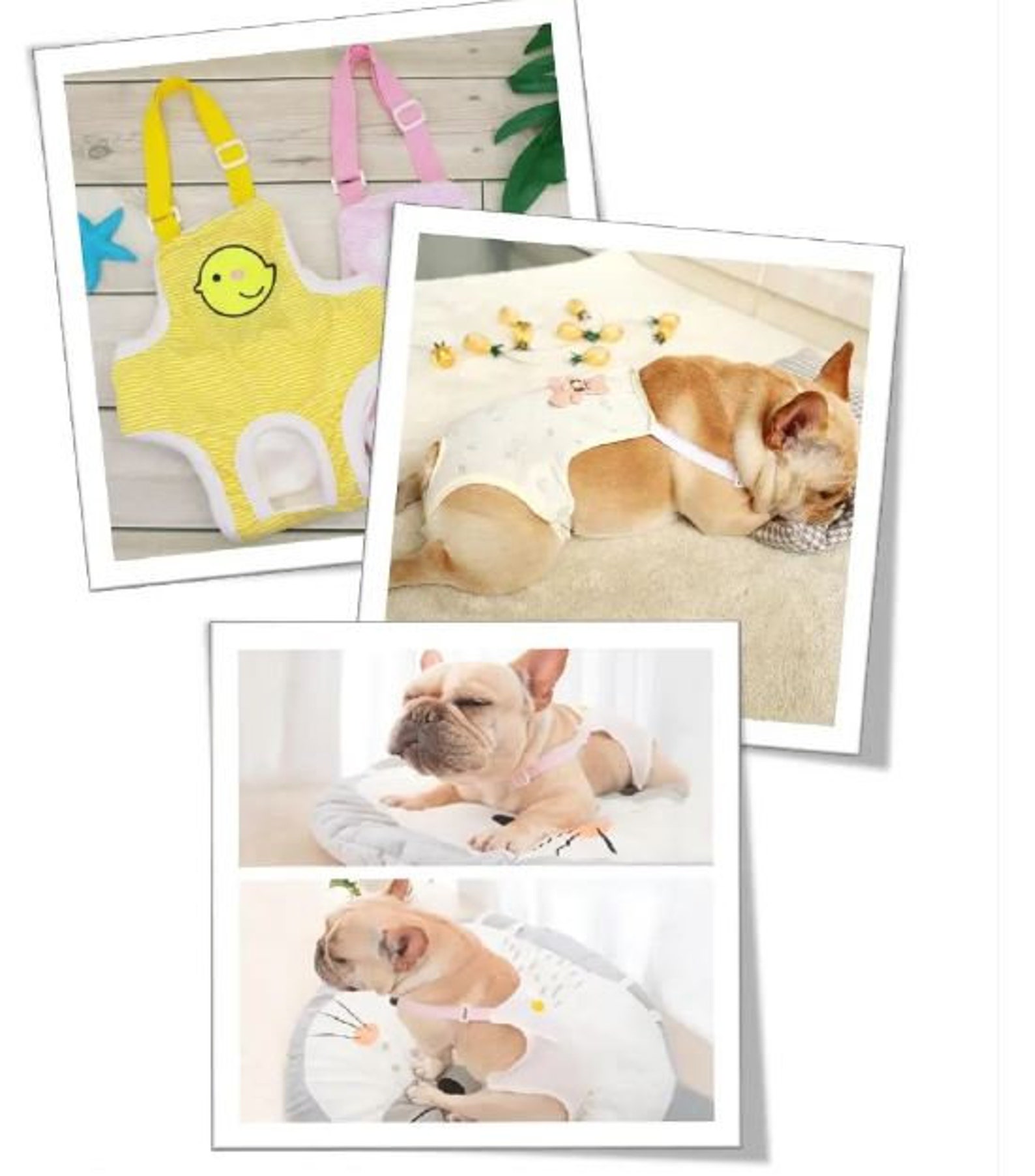 Dog Diaper Patterns Sewing Pattern Pdf File Make Your Own Dog Diapers ...