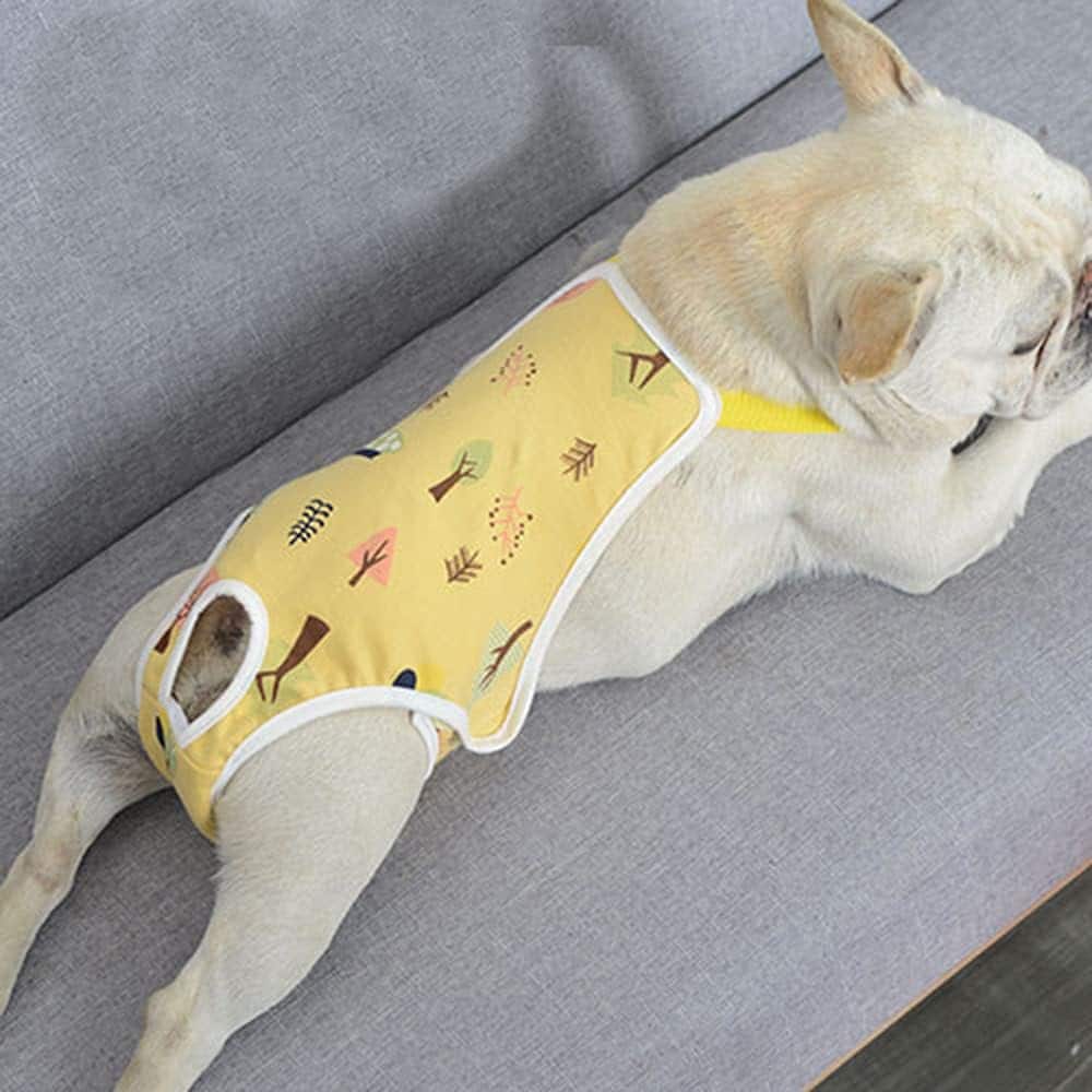 Dog Diaper Patterns Sewing Pattern Pdf File Make Your Own Dog Diapers in 6 Sizes From XS to XXL ...