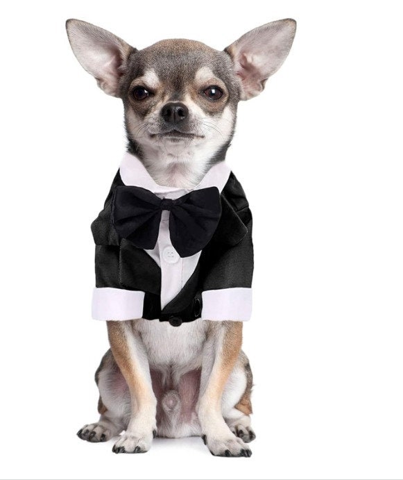 2024 Dog Tuxedo Pattern Size XS-XXL, Dog Clothes, Dog Clothing Pattern, Dog Tuxedo, Sewing ...