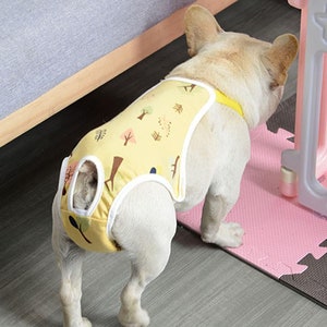 Dog Diaper Patterns Sewing Pattern Pdf File Make Your Own Dog Diapers ...