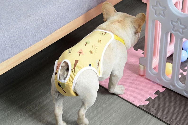 Dog Diaper Patterns Sewing Pattern Pdf File Make Your Own Dog Diapers in 6 Sizes From XS to XXL ...