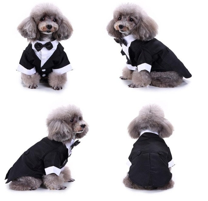 2024 Dog Tuxedo Pattern Size XS-XXL, Dog Clothes, Dog Clothing Pattern, Dog Tuxedo, Sewing ...