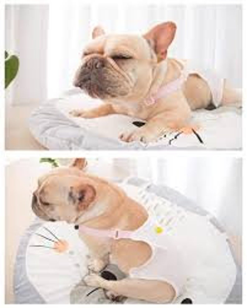 Dog Diaper Patterns Sewing Pattern Pdf File Make Your Own Dog Diapers in 6 Sizes From XS to XXL ...