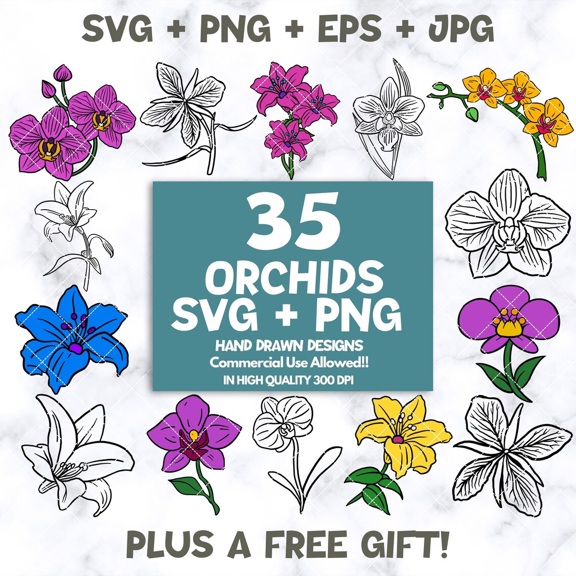 Orchids SVG Bundle, Orchid Clipart Set, Orchid Cut File, Orchid Cricut ...