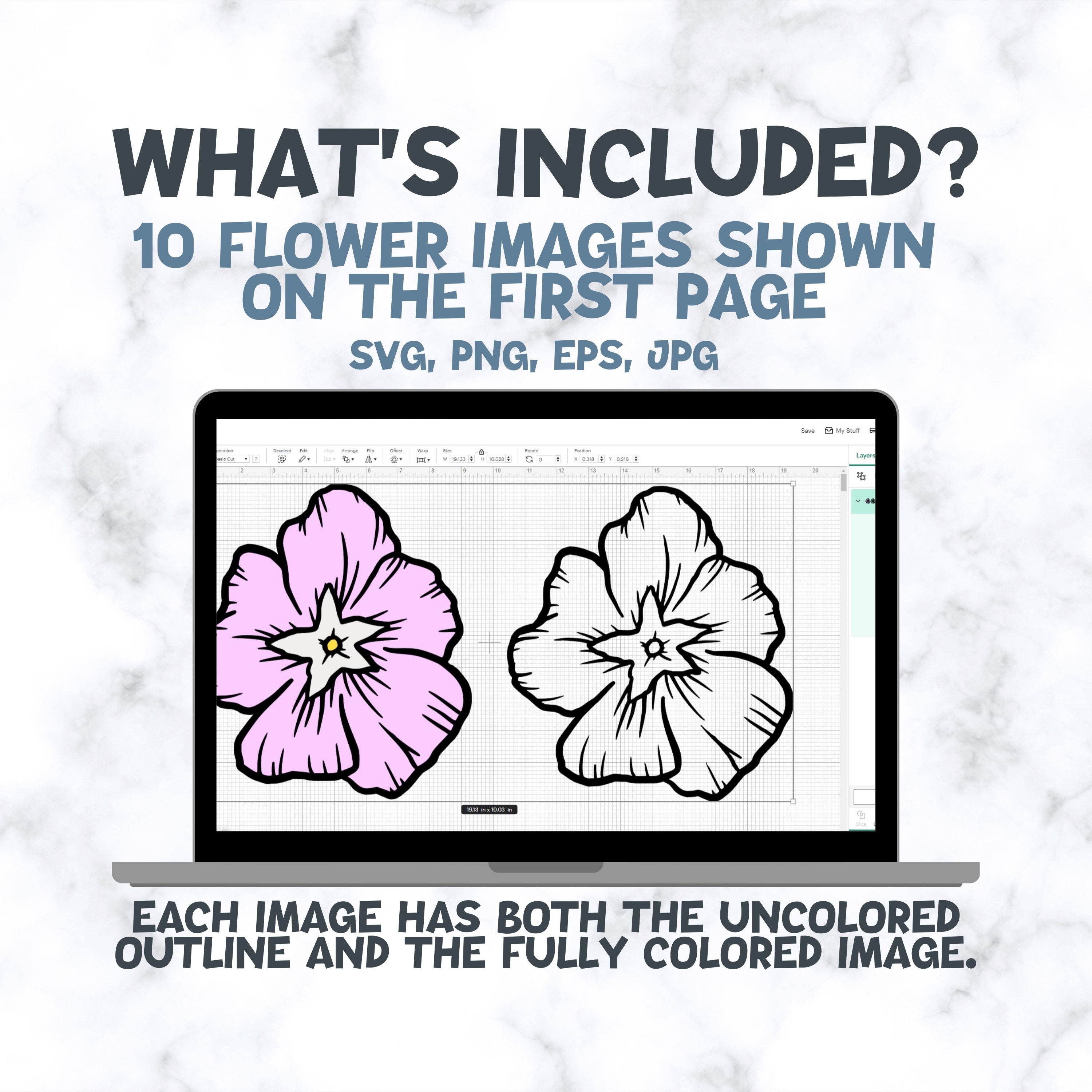 Primrose SVG, February Birth Month Flower Svg Png, Primrose Clipart Set ...