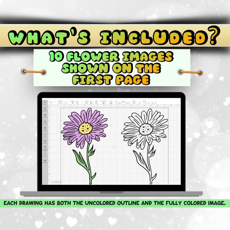 Aster SVG, September Birth Month Flower Svg Png, Aster Clipart Set ...