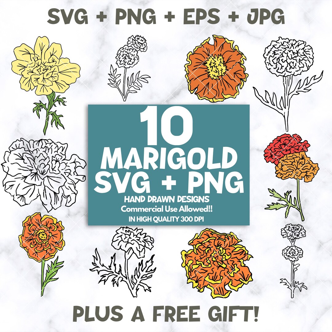 Marigold SVG, October Birth Month Flower Svg Png, Marigold Clipart Set ...