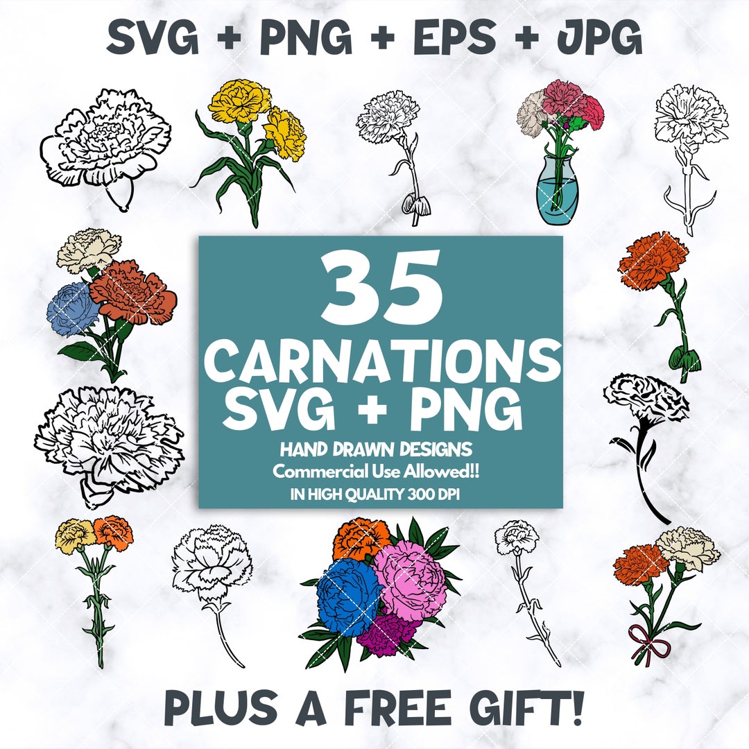 Carnation SVG Bundle, Carnation Clipart Set, Carnation Cut File ...