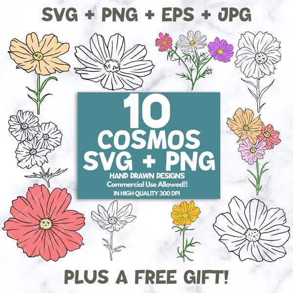 Cosmos Svg - Etsy