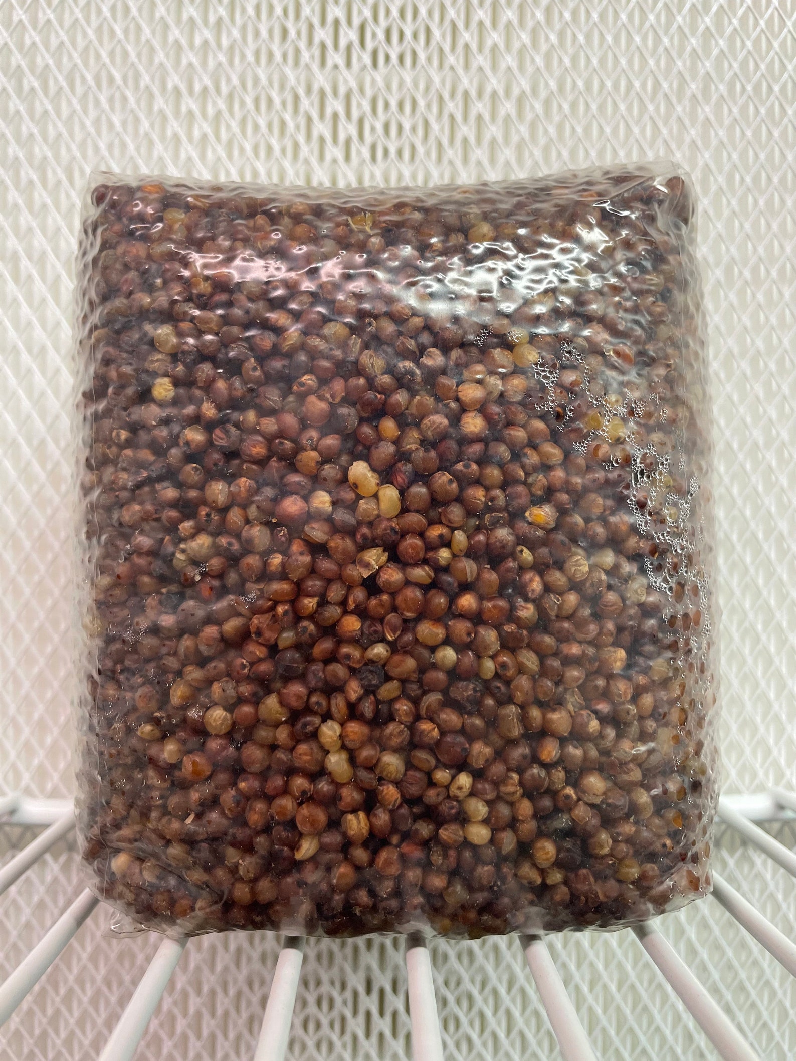 Mushroom Grain Spawn- Milo (sorghum) 2lbs - Etsy