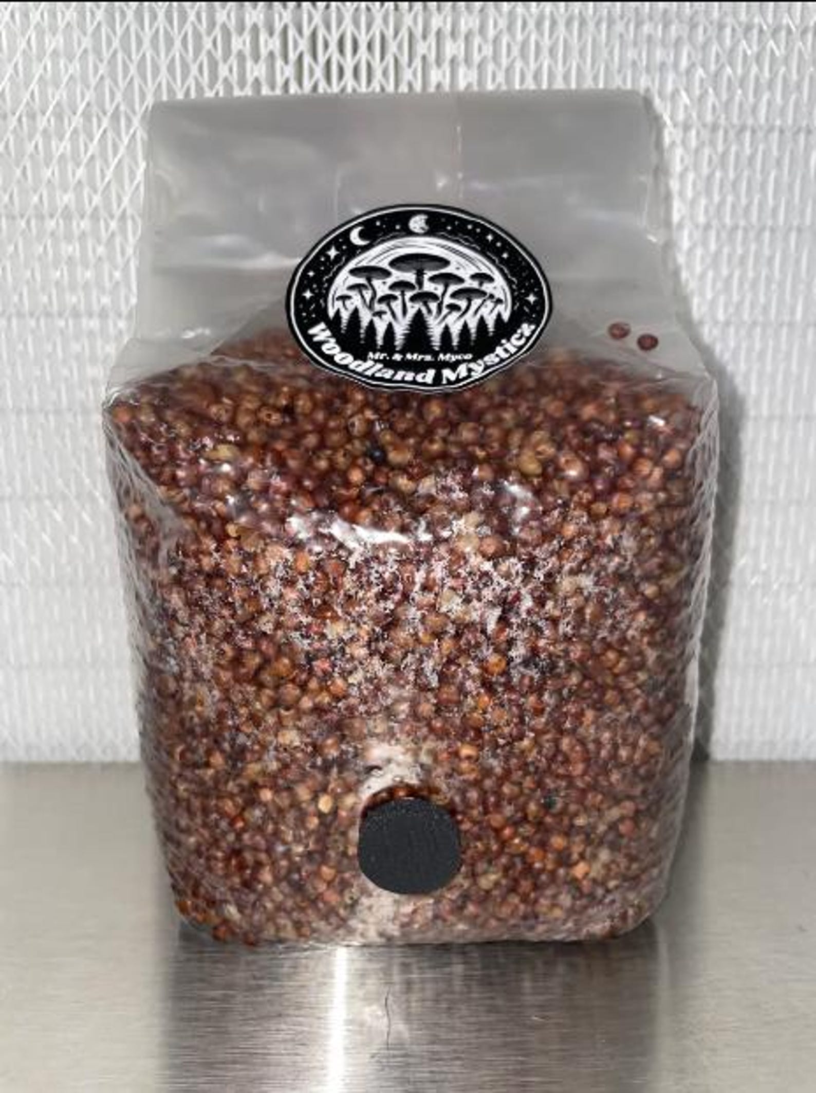 Mushroom Grain Spawn- Milo (sorghum) 2lbs - Etsy