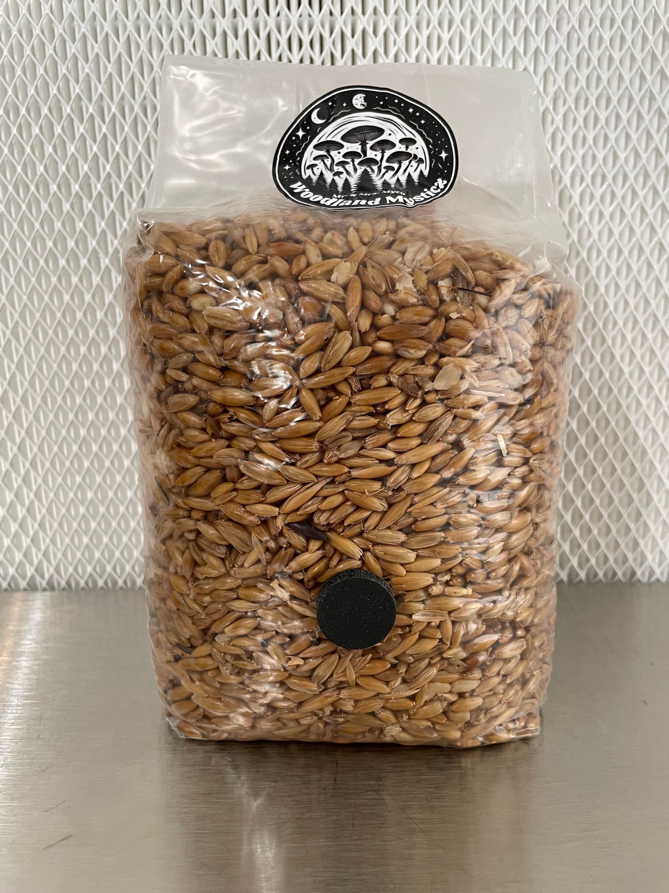 Mushroom Grain Spawn- Oats 2lbs - Etsy