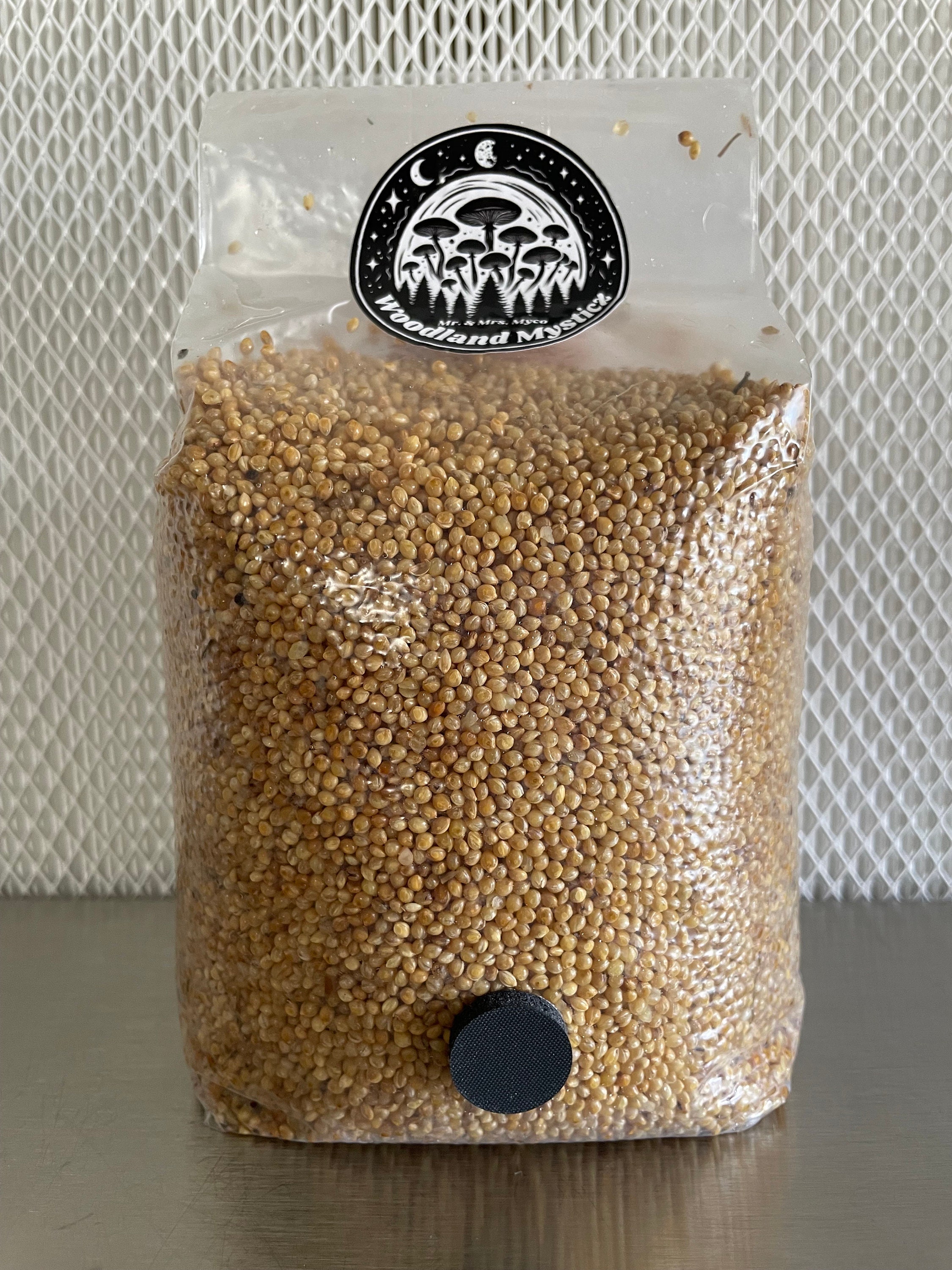 Mushroom Grain Spawn- Millet 2lbs - Etsy