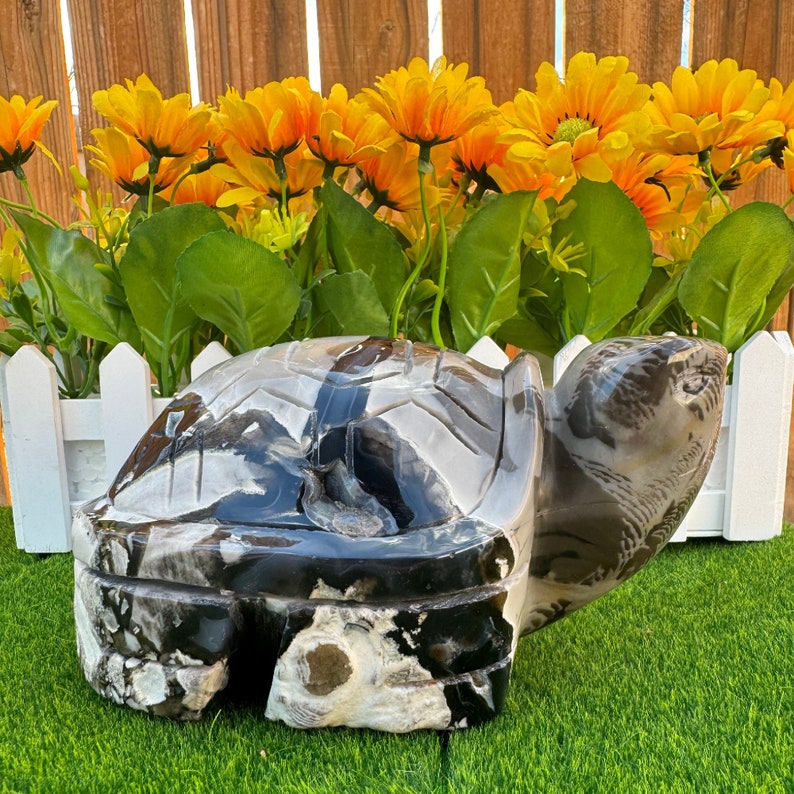 Volcano Agate Turtle Carving With UV Reactive Volcano Agate Crystal ...