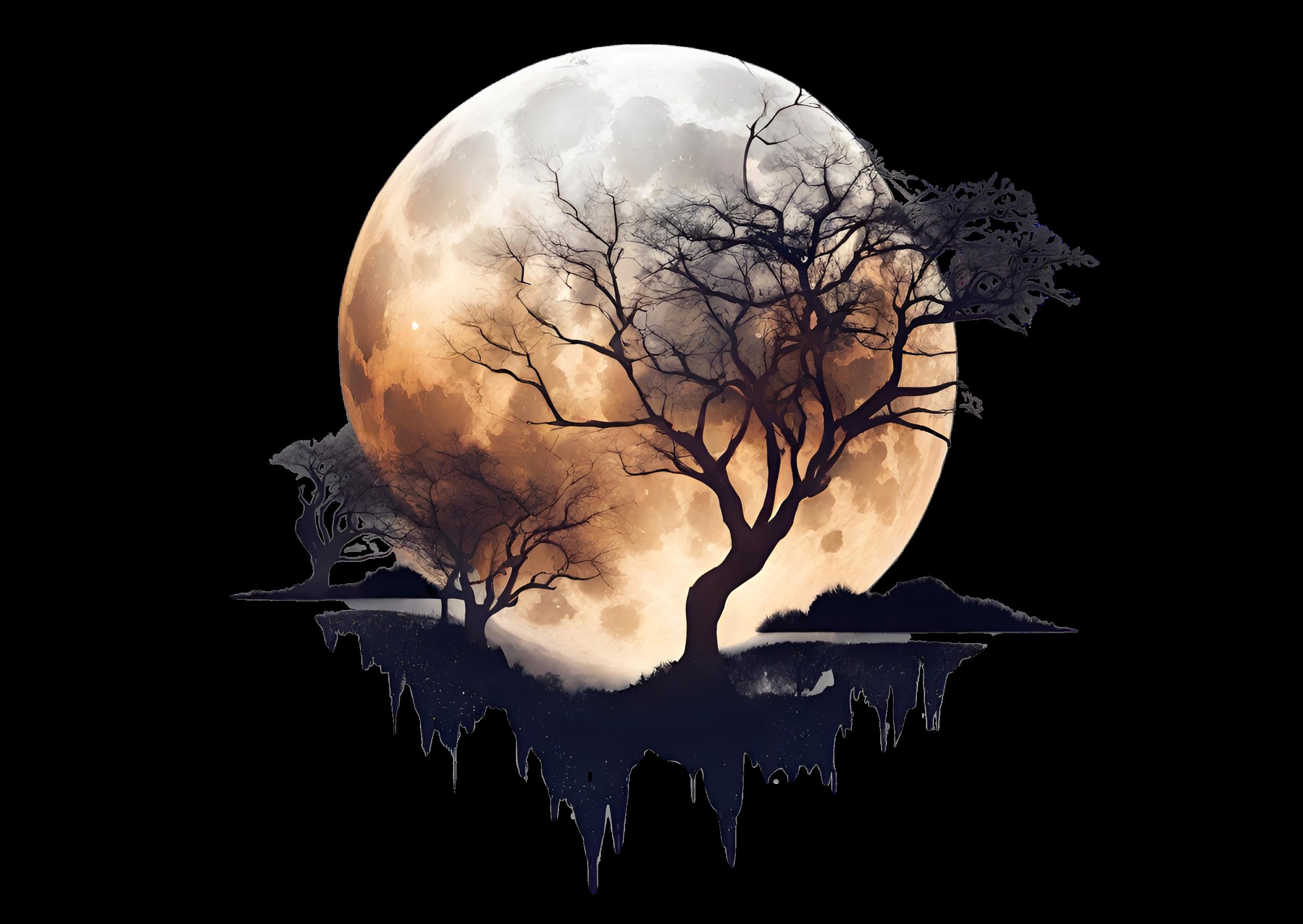 Unique Moon Design PNG Files - 20 High Quality Celestial Stickers for ...