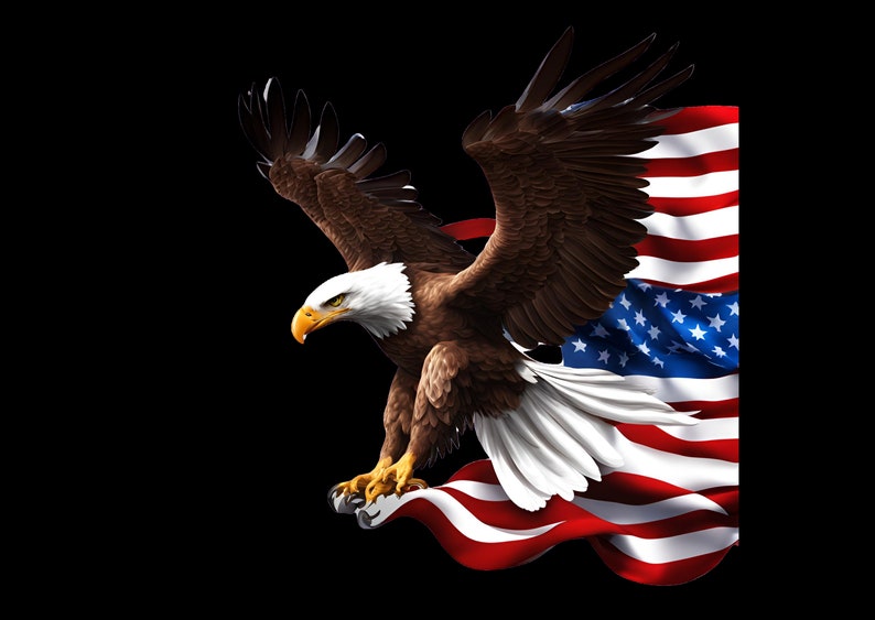 Patriotic Eagle USA Clipart Bundle, 20 PNG American Eagle Sublimation ...