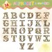 Vintage Floral Alphabet Letters PNG: Pastel Botanical Clipart (36 PNG ...