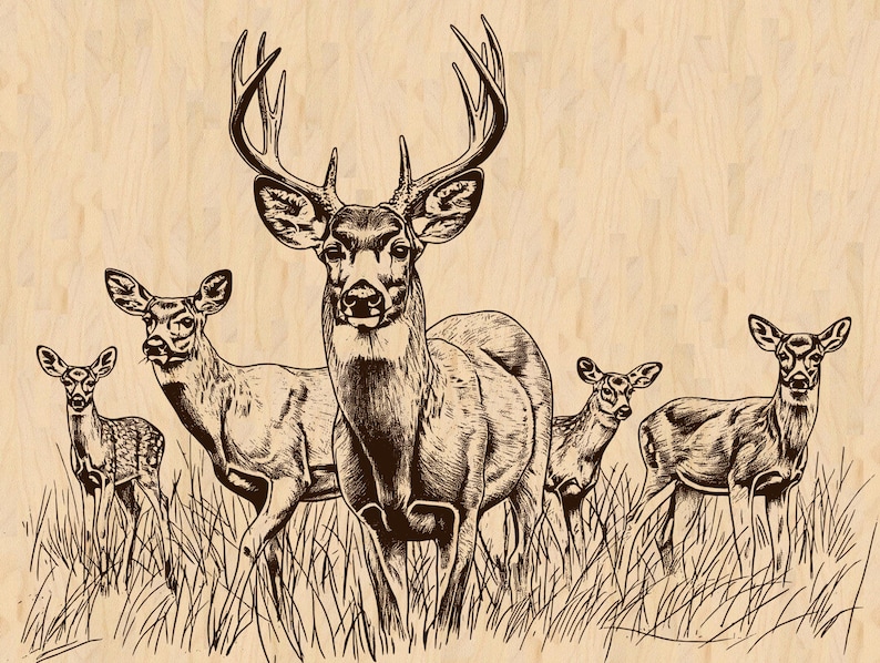 Silver Pack®! Whitetail Buck & Does Laser Engraving File PNG_SVG_PDF ...