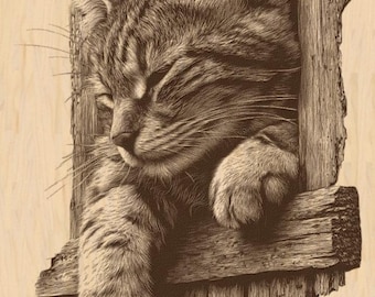 Silver Pack®! Sleeping Cat in Rustic Window Laser Engraving File PNG ...