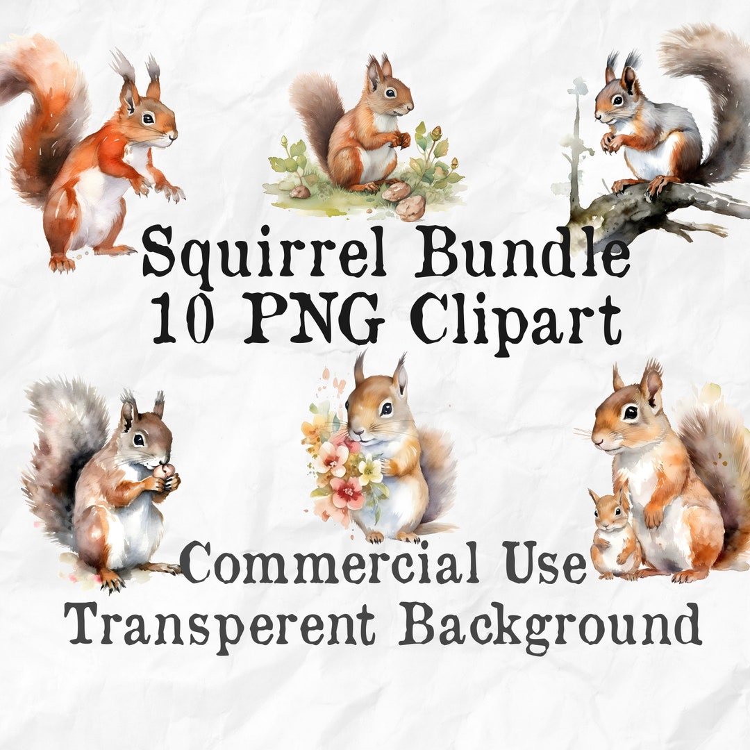 Watercolor Clipart, Digital Print, Squirrel Clipart Bundle, Woodland ...