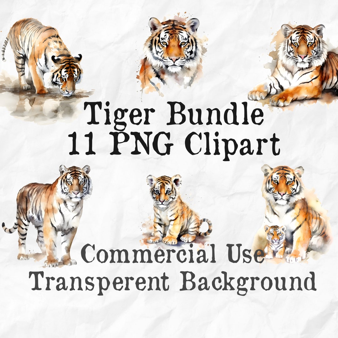 Watercolor Clipart, Tiger Clipart Bundle, Scrap Booking, Junk Journal ...