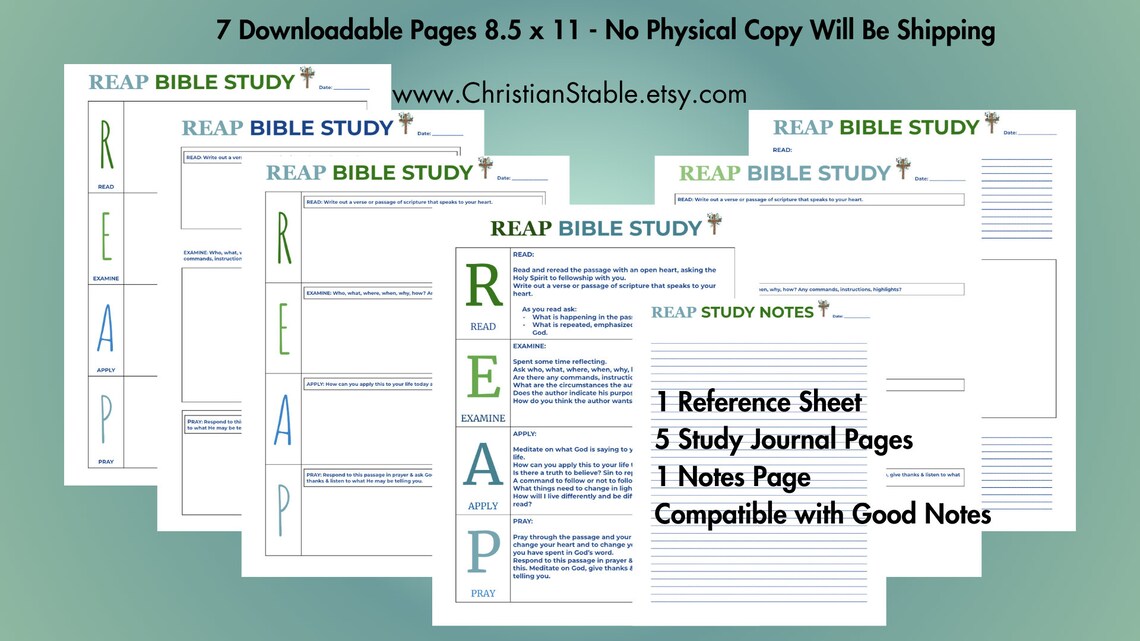 REAP Bible Study - Etsy
