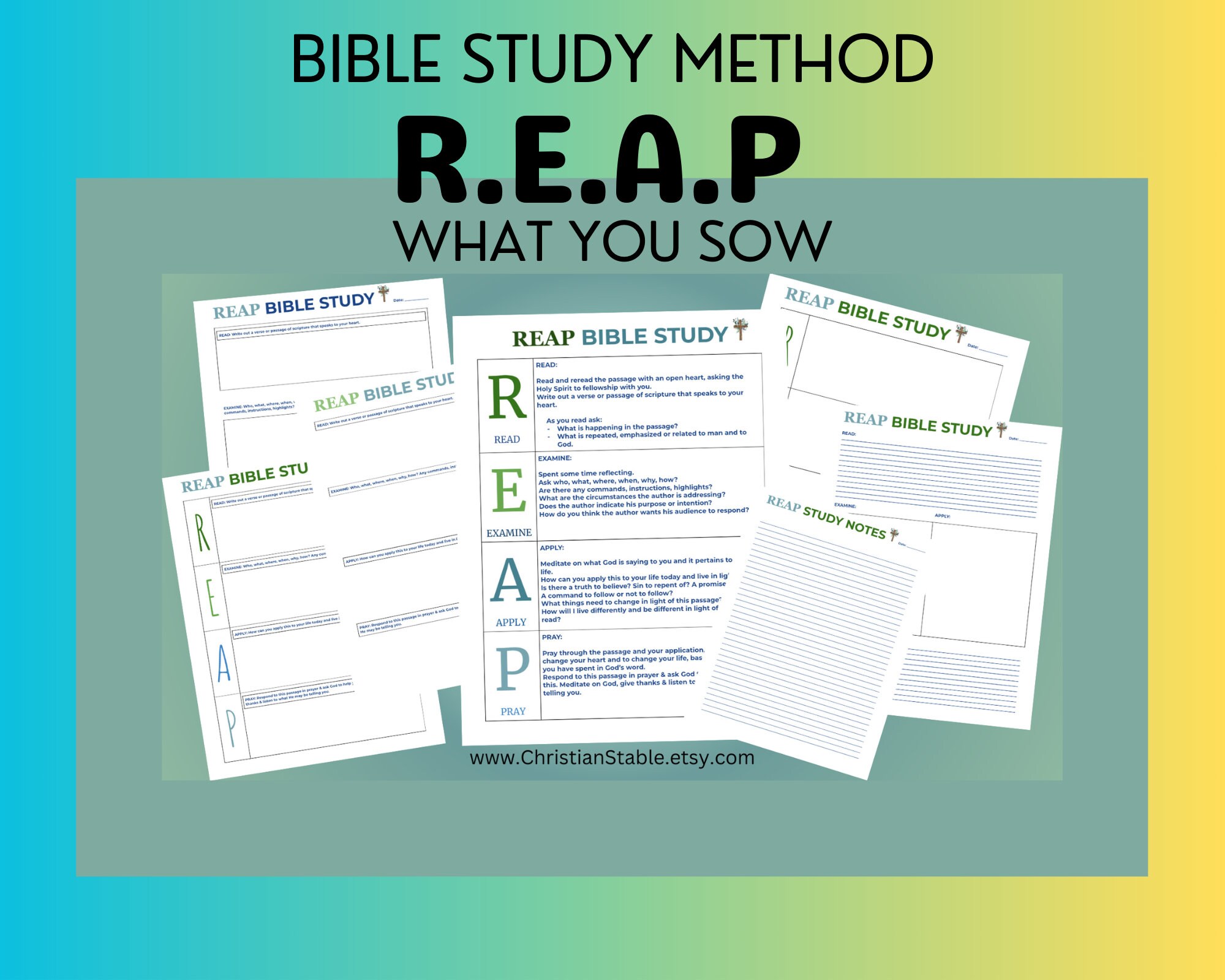 REAP Bible Study - Etsy