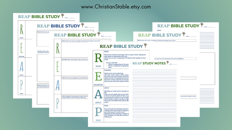 REAP Bible Study - Etsy