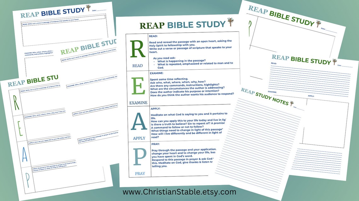 REAP Bible Study - Etsy