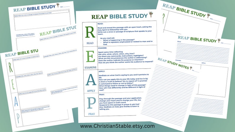 REAP Bible Study - Etsy