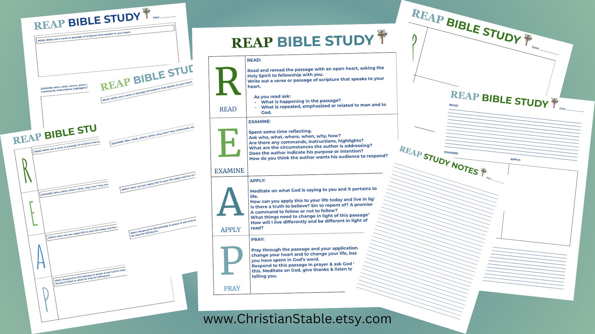 REAP Bible Study - Etsy
