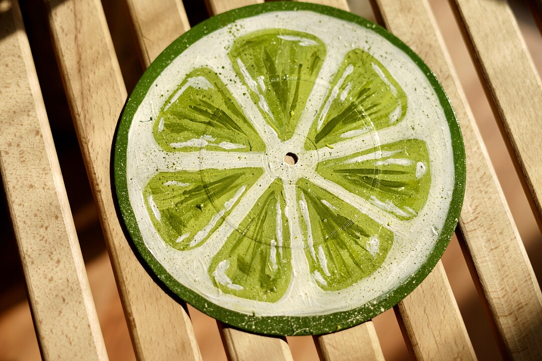 Lime Painting Vinyl Record - Home Decoration - Etsy