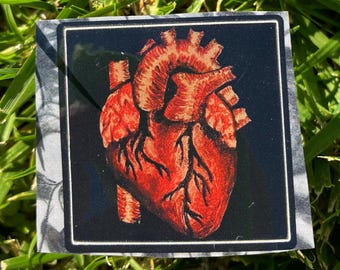 Anatomical Heart Sticker With Anatomy - Etsy