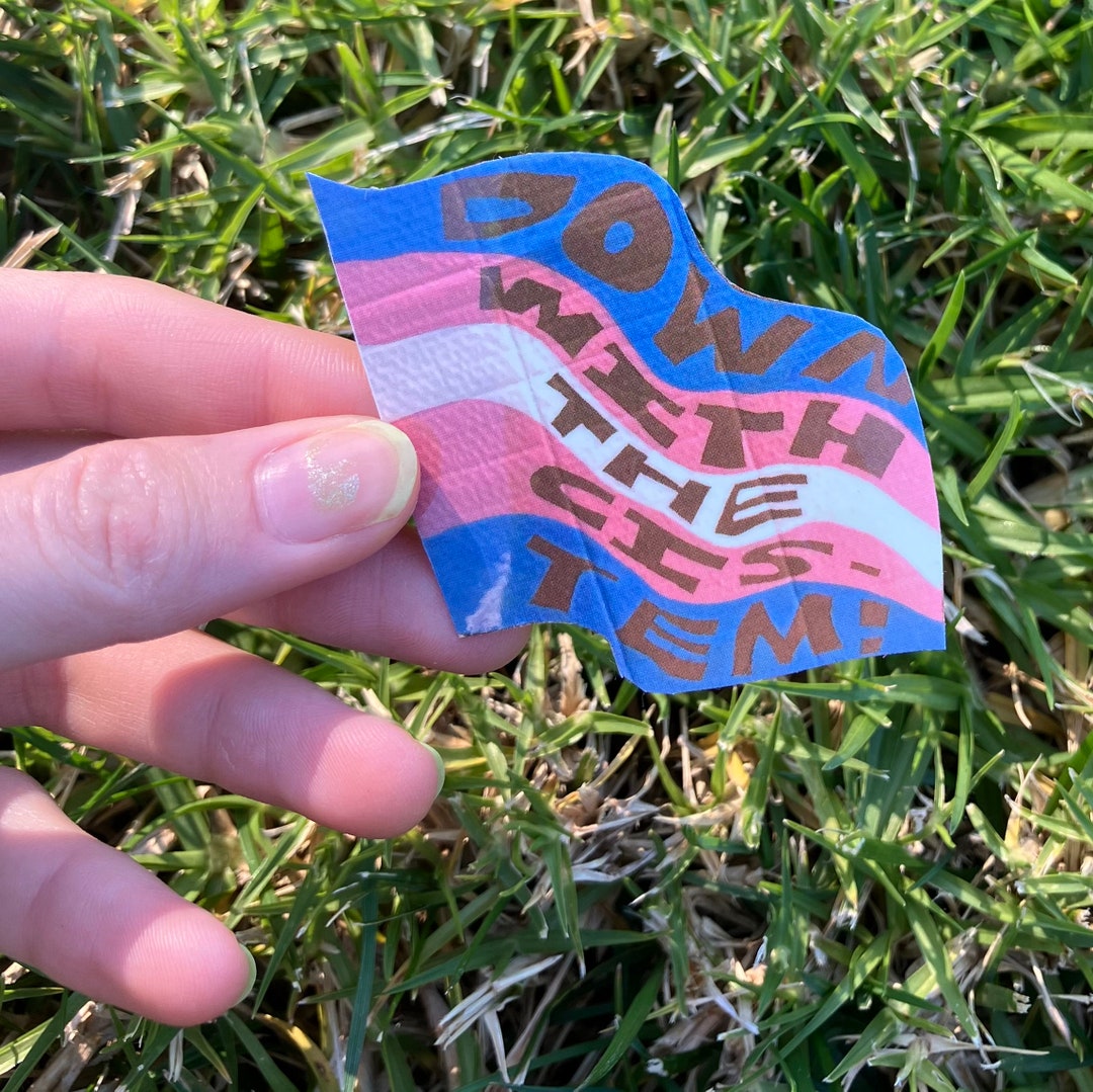 Down With the Cis-tem! Art Sticker - Etsy