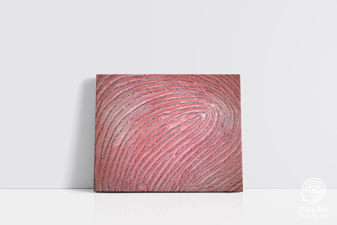 Genetic Fingerprinting Canvas Print – DNA Sequence Wall Art – Modern ...