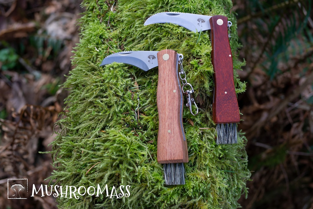 Folding Mushroom Knife With Brush and Compass, Foraging Knife - Etsy