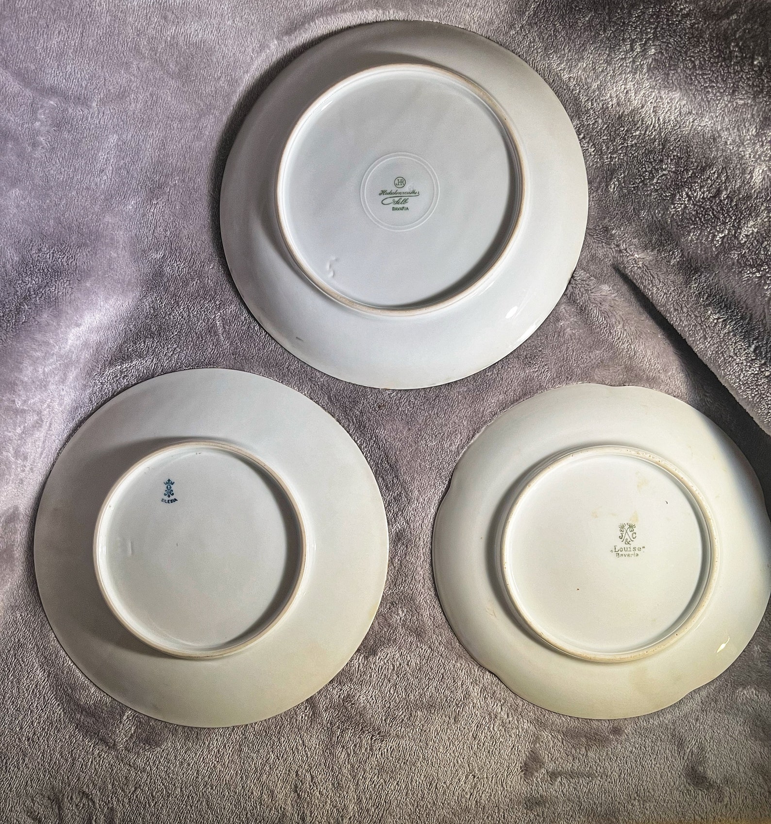 Dogwood Blossom Decorative Porcelain Plates From Bavaria and Silesia ...