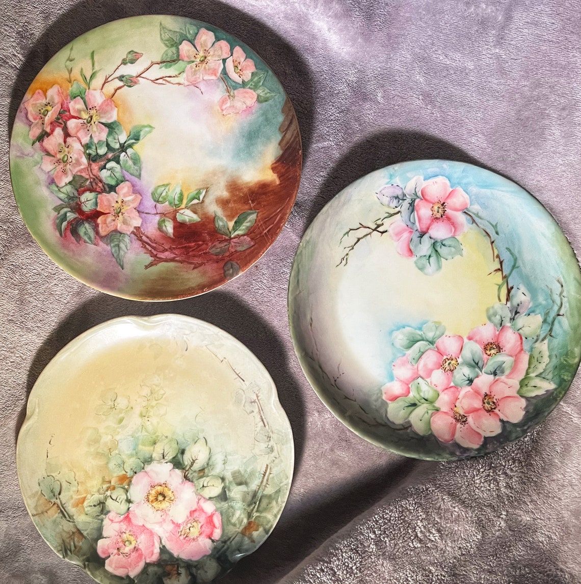 Dogwood Blossom Decorative Porcelain Plates From Bavaria and Silesia ...
