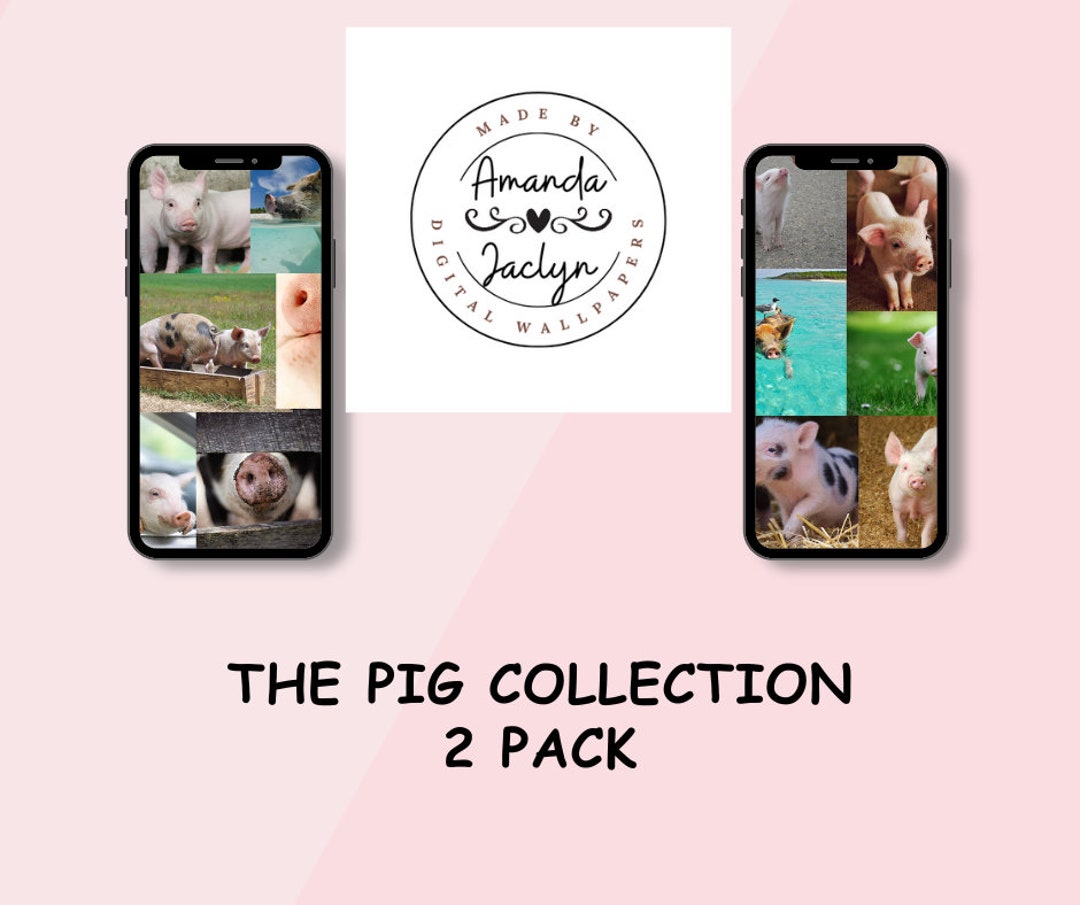 Collage of Pig Background, Wallpaper of Cute Pink Pigs, Digital ...