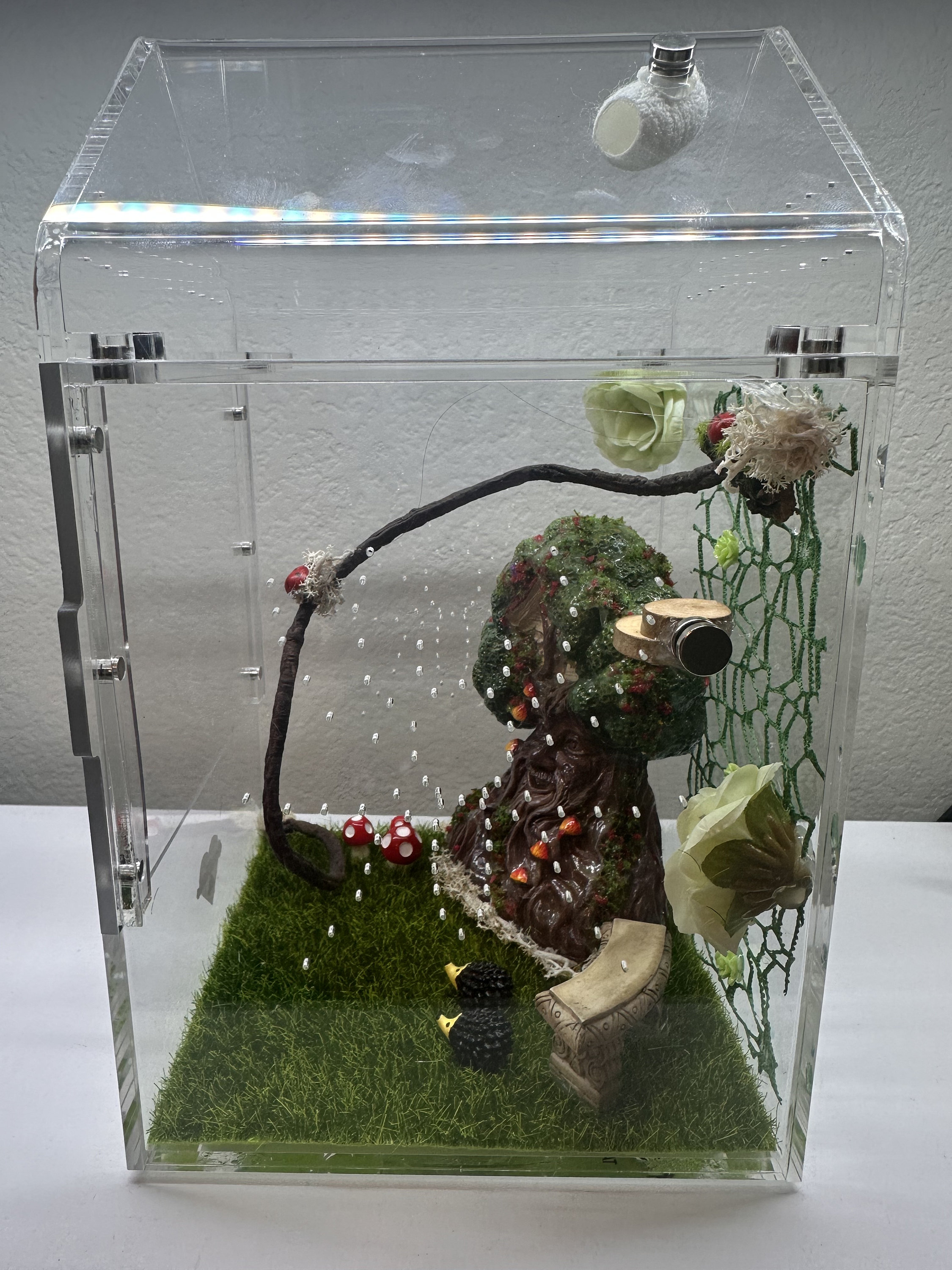 Large Spider Enclosure - Etsy