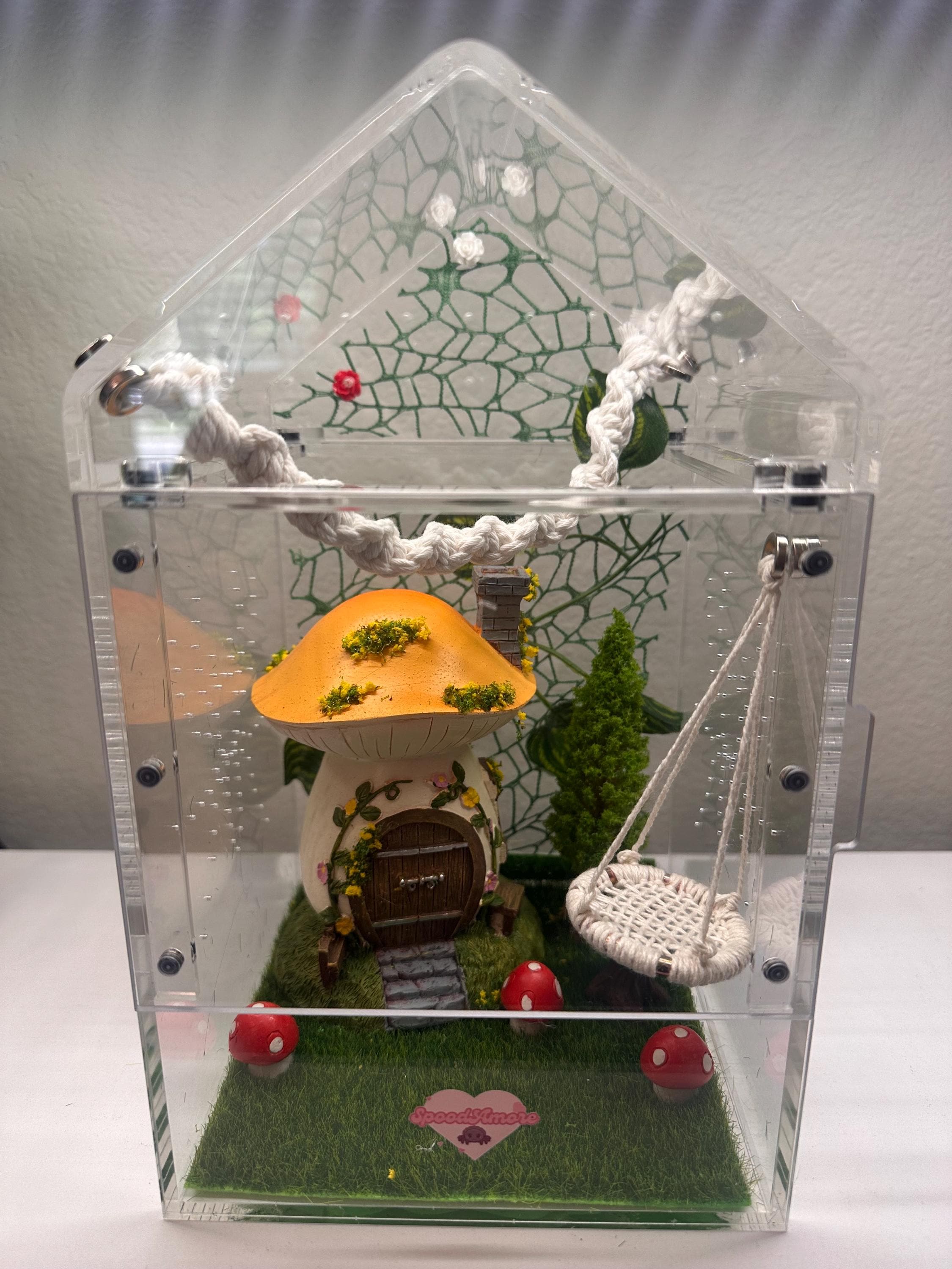 Large Jumping Spider Enclosure - Etsy
