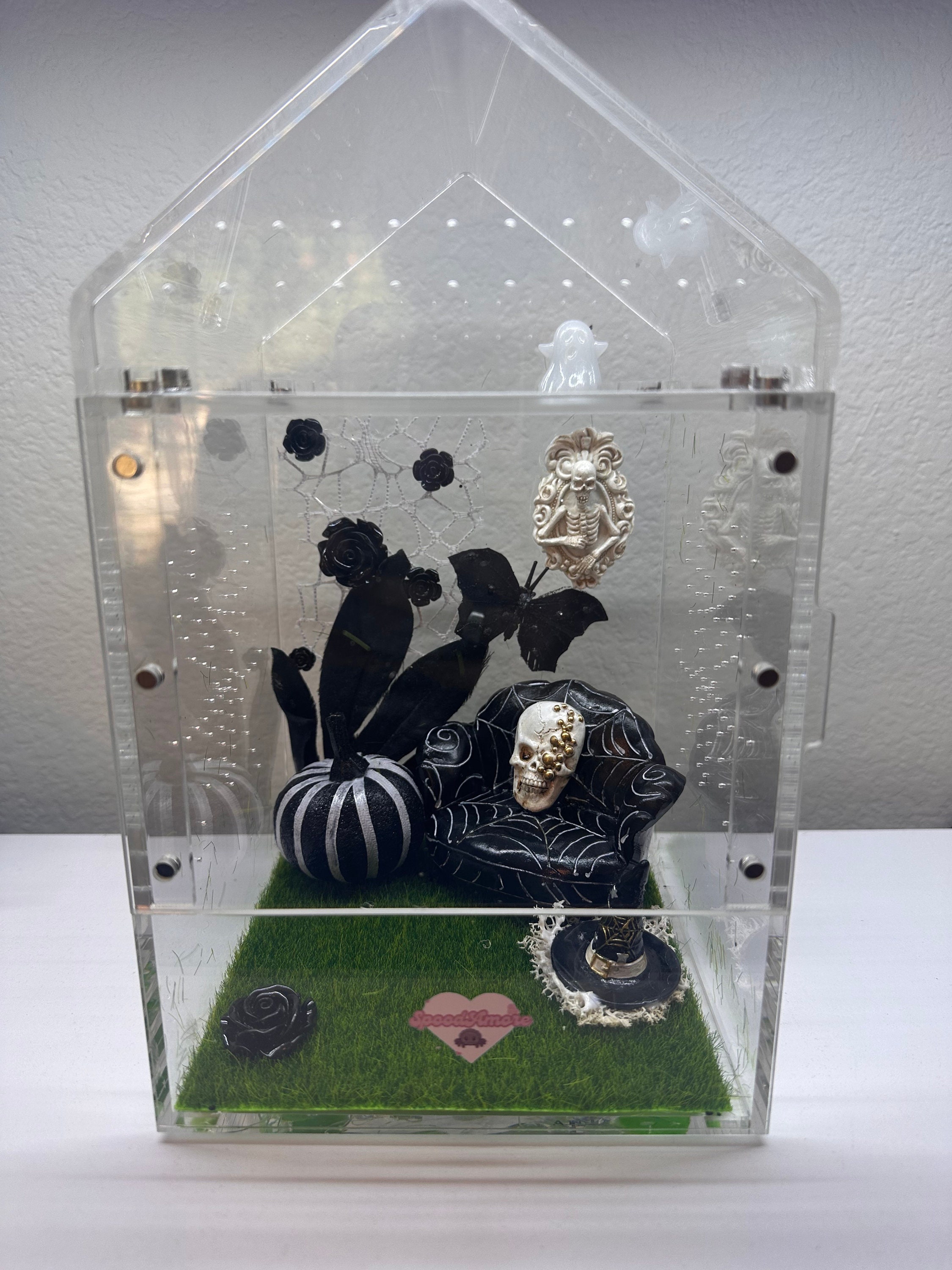 Large Spooky Jumping Spider Enclosure - Etsy