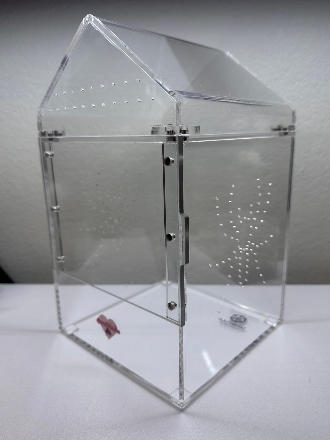 Custom Jumping Spider Enclosure- Read Description - Etsy