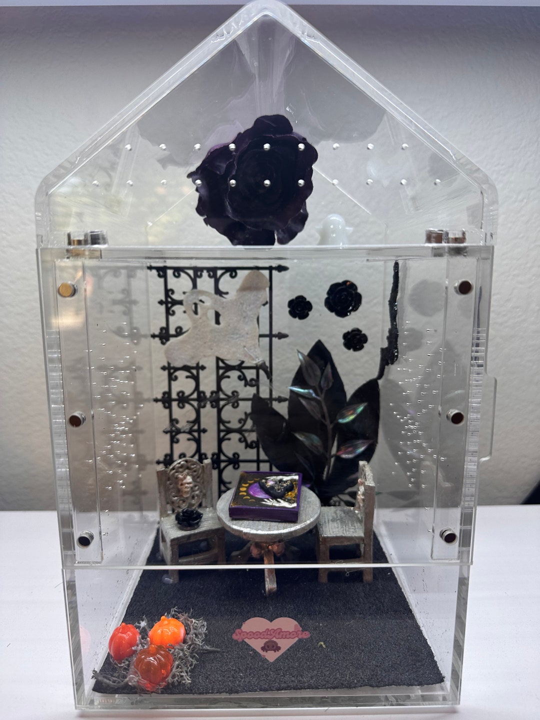Large Spooky Jumping Spider Enclosure - Etsy