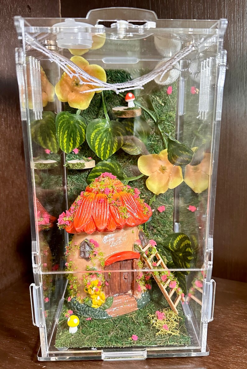 Custom Jumping Spider Enclosure Read Description - Etsy